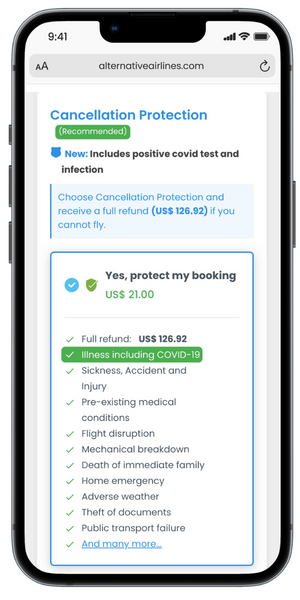 Why Alternative Airlines is the Safest Way to Book Flights
